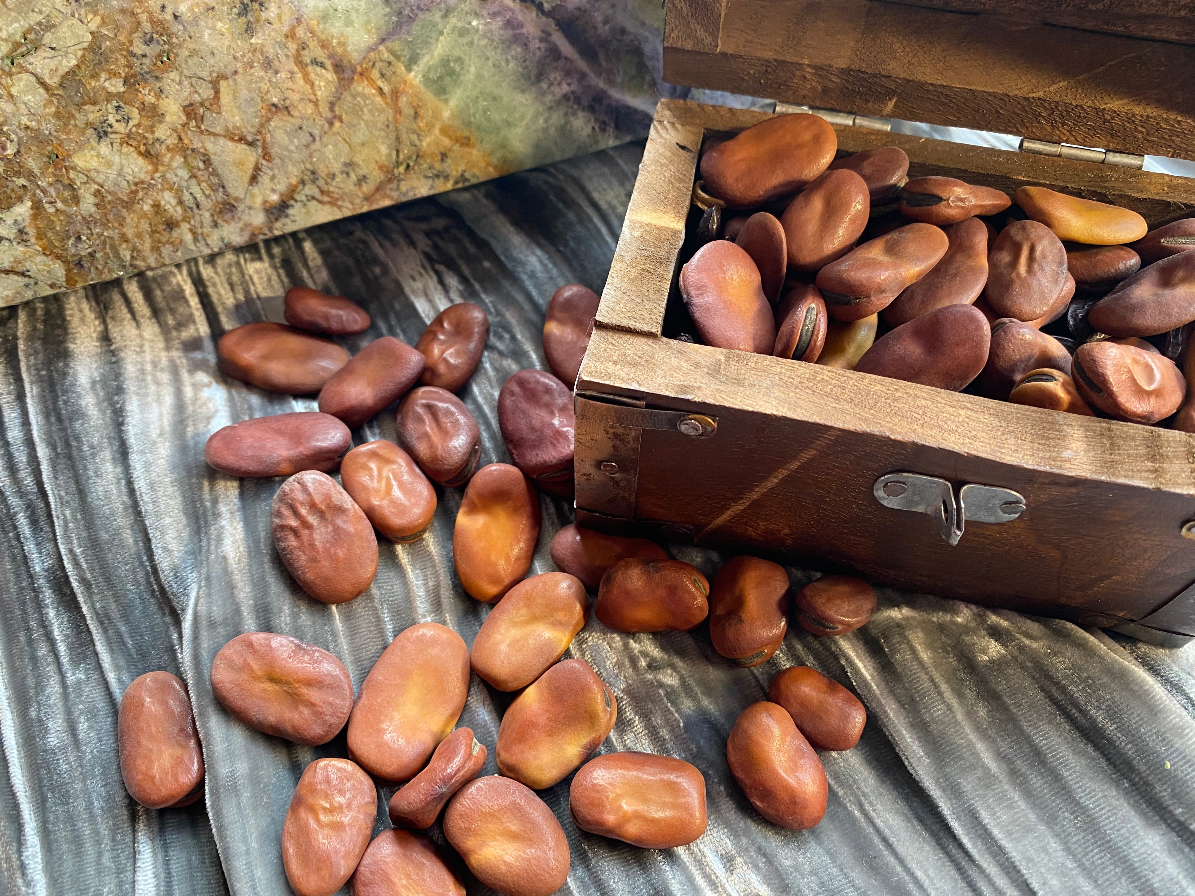 Mojo Beans – MydnytBlu