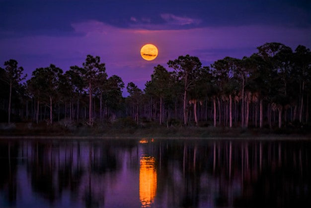 The Hunter’s Full Moon: October 28, 2023 – MydnytBlu